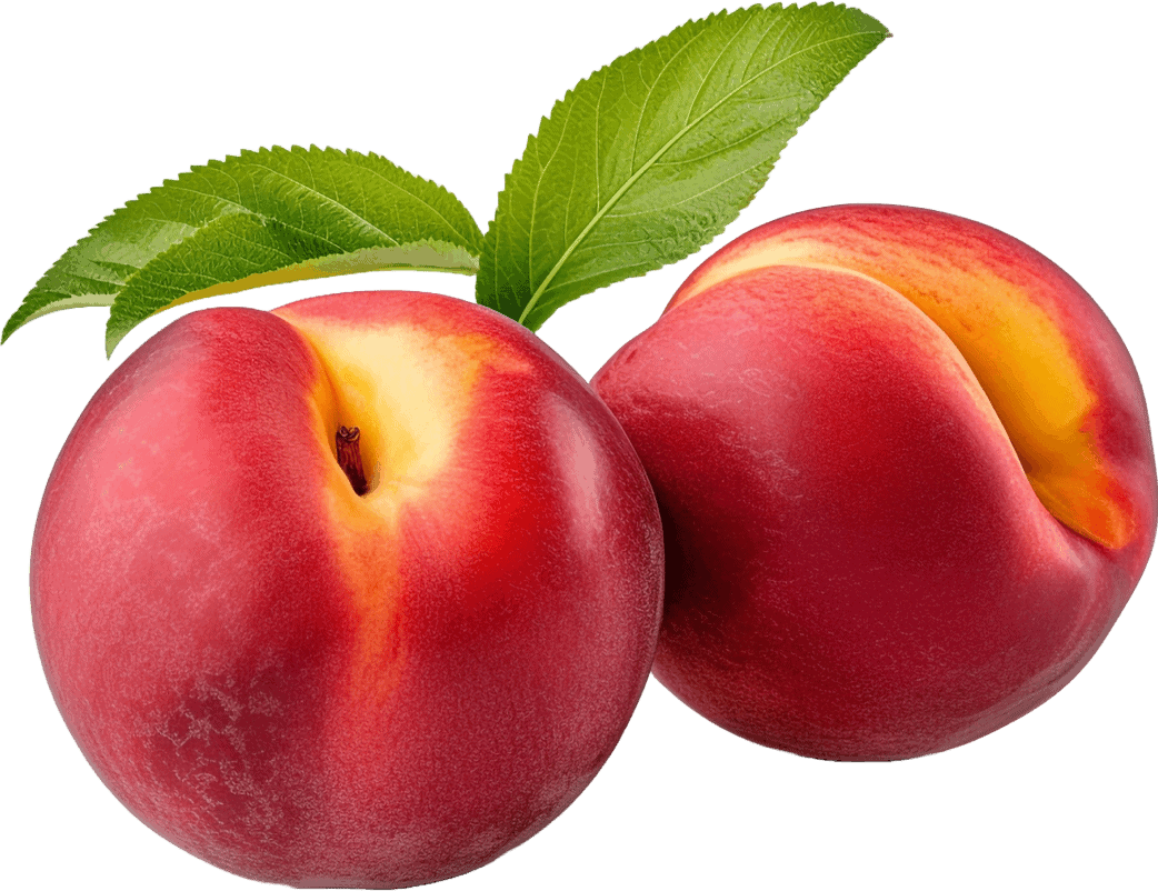 Nectarines | Our Fruit | Zaiger SA