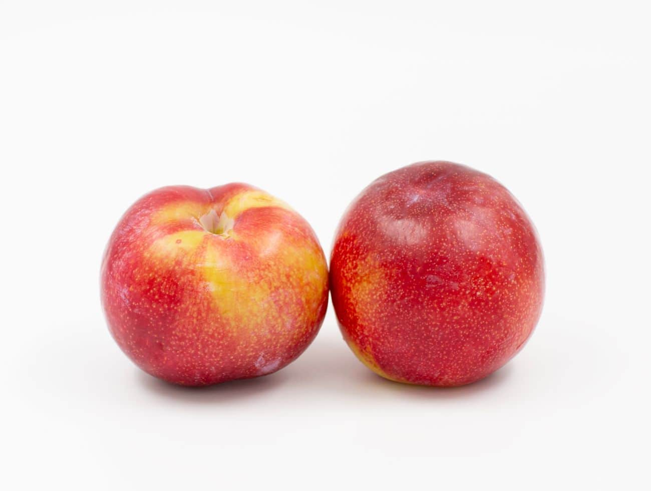 Festiva | Interspecific Plums | Zaiger SA